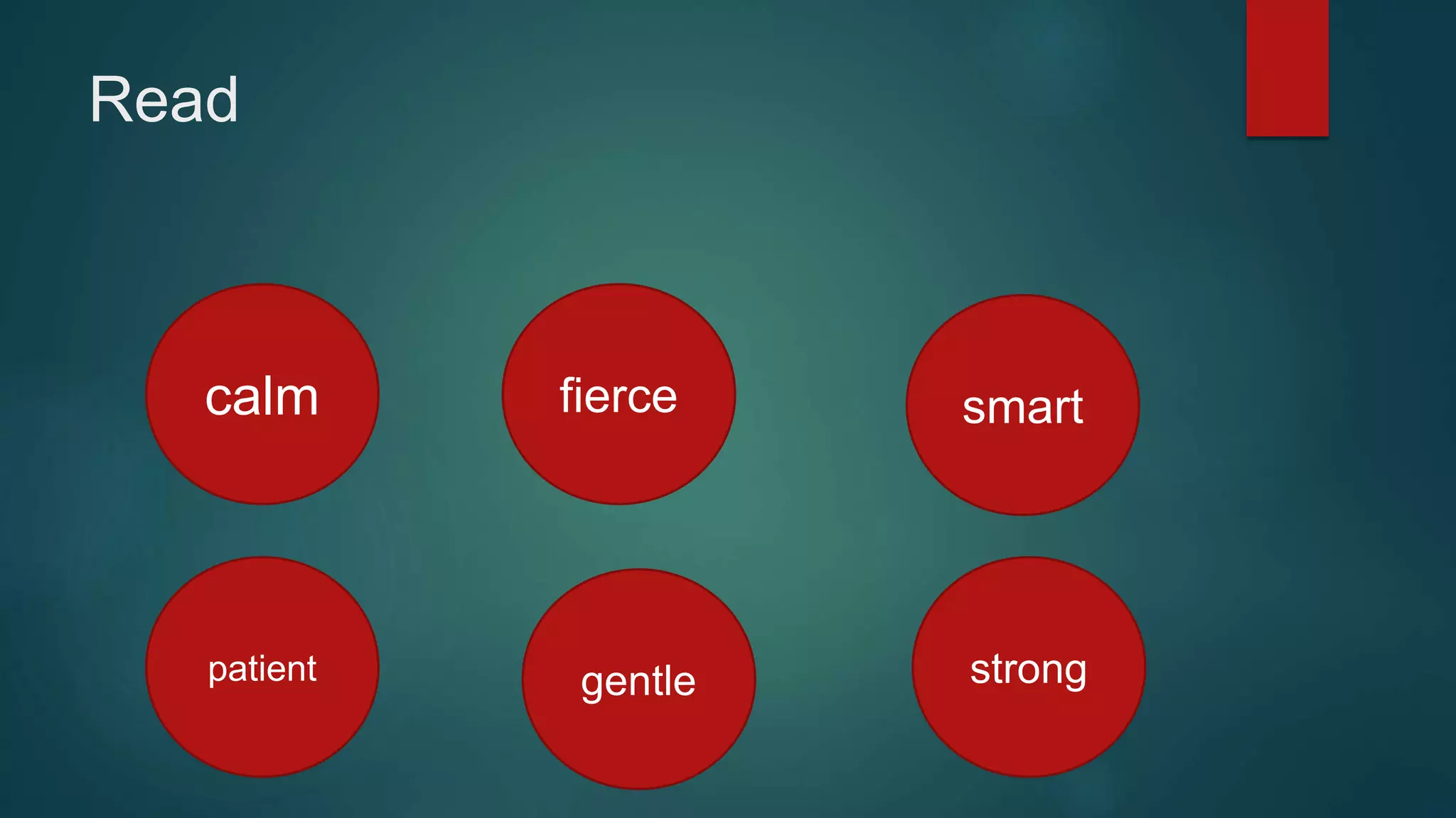 adjectives words .pptx