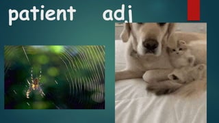 adjectives words .pptx