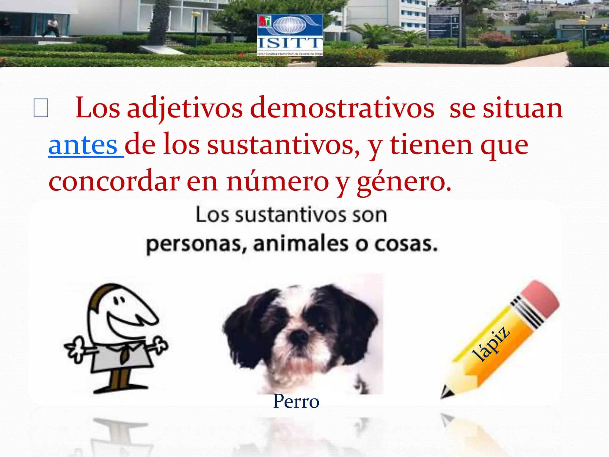 Adjetivos demostrativos presentacion | PPTX