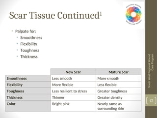 Assessment of Adjacent Tissues Assessment of Adjacent Tissues | PPT