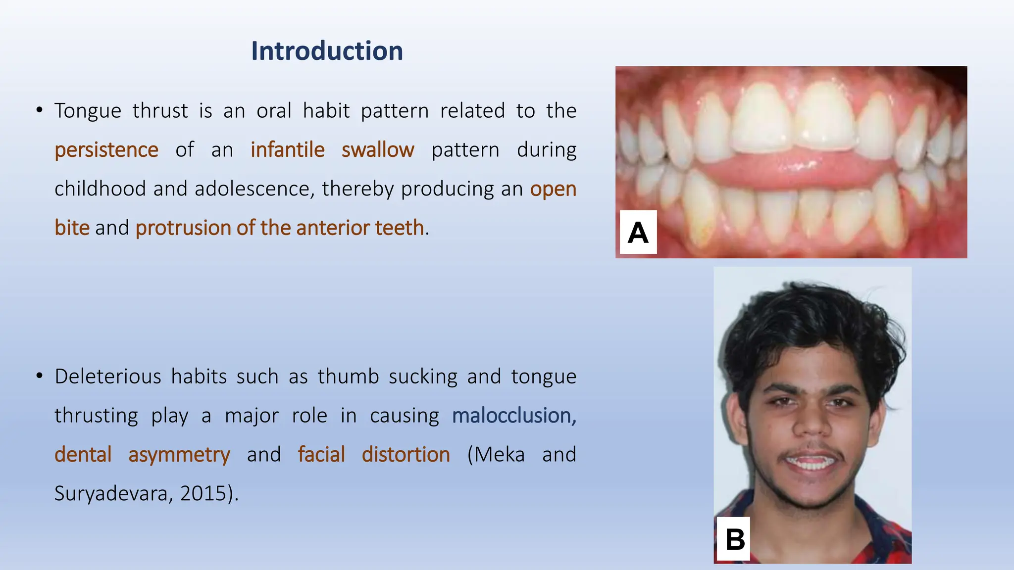 ADJUSTABLE TONGUE CRIB.pptx