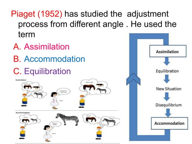 Adjustment and maladjustment | PPTX