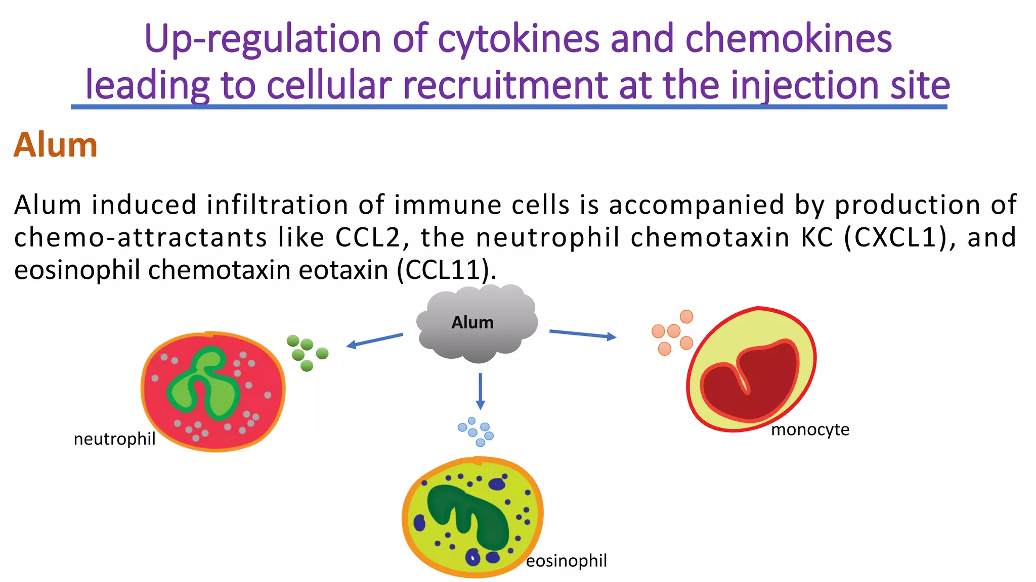 Mechanisms of Action of Adjuvants | PDF