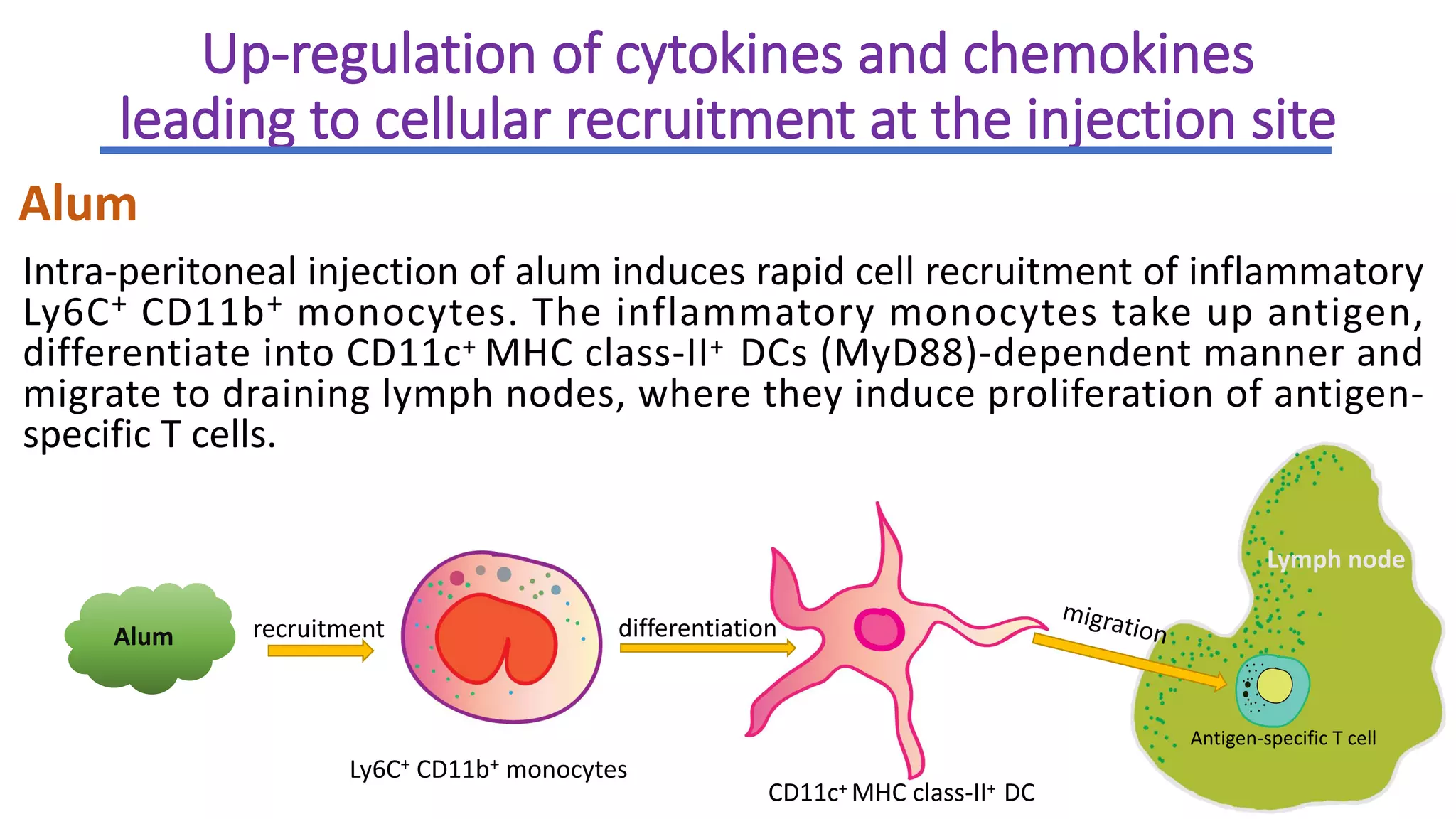 Mechanisms of Action of Adjuvants | PDF
