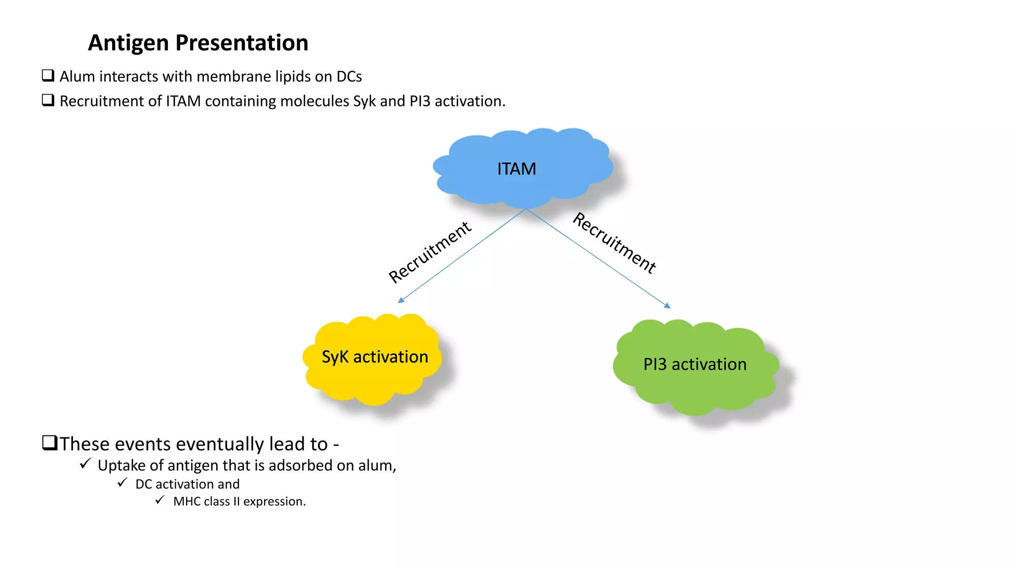 Mechanisms of Action of Adjuvants | PDF