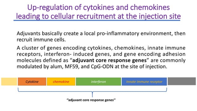 Mechanisms of Action of Adjuvants | PDF