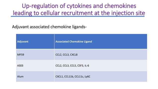 Mechanisms of Action of Adjuvants | PDF