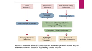 ADJUVANTS-1.pptx