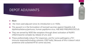 ADJUVANTS-1.pptx