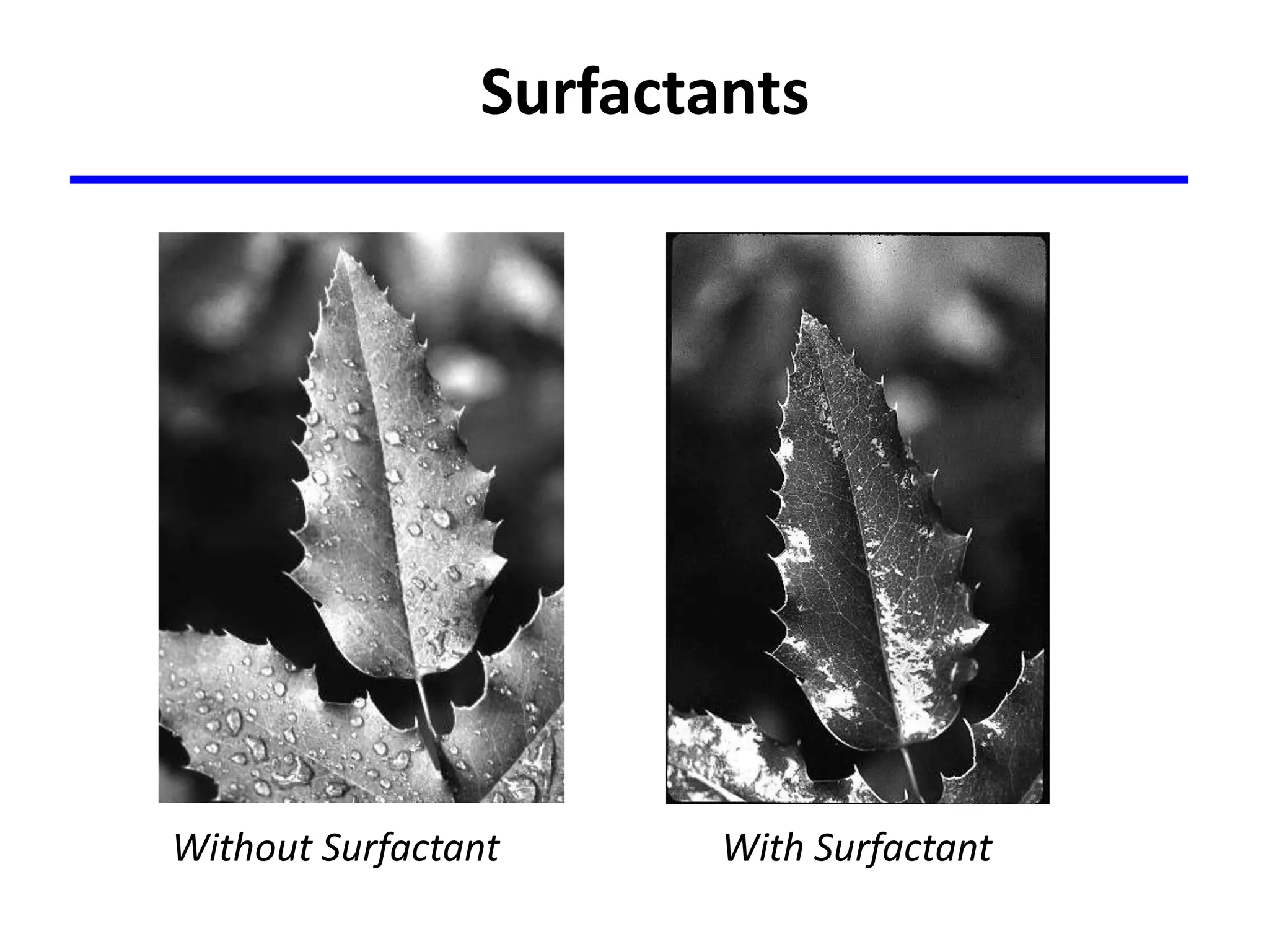 Adjuvants | PPTX | Agriculture | Industries