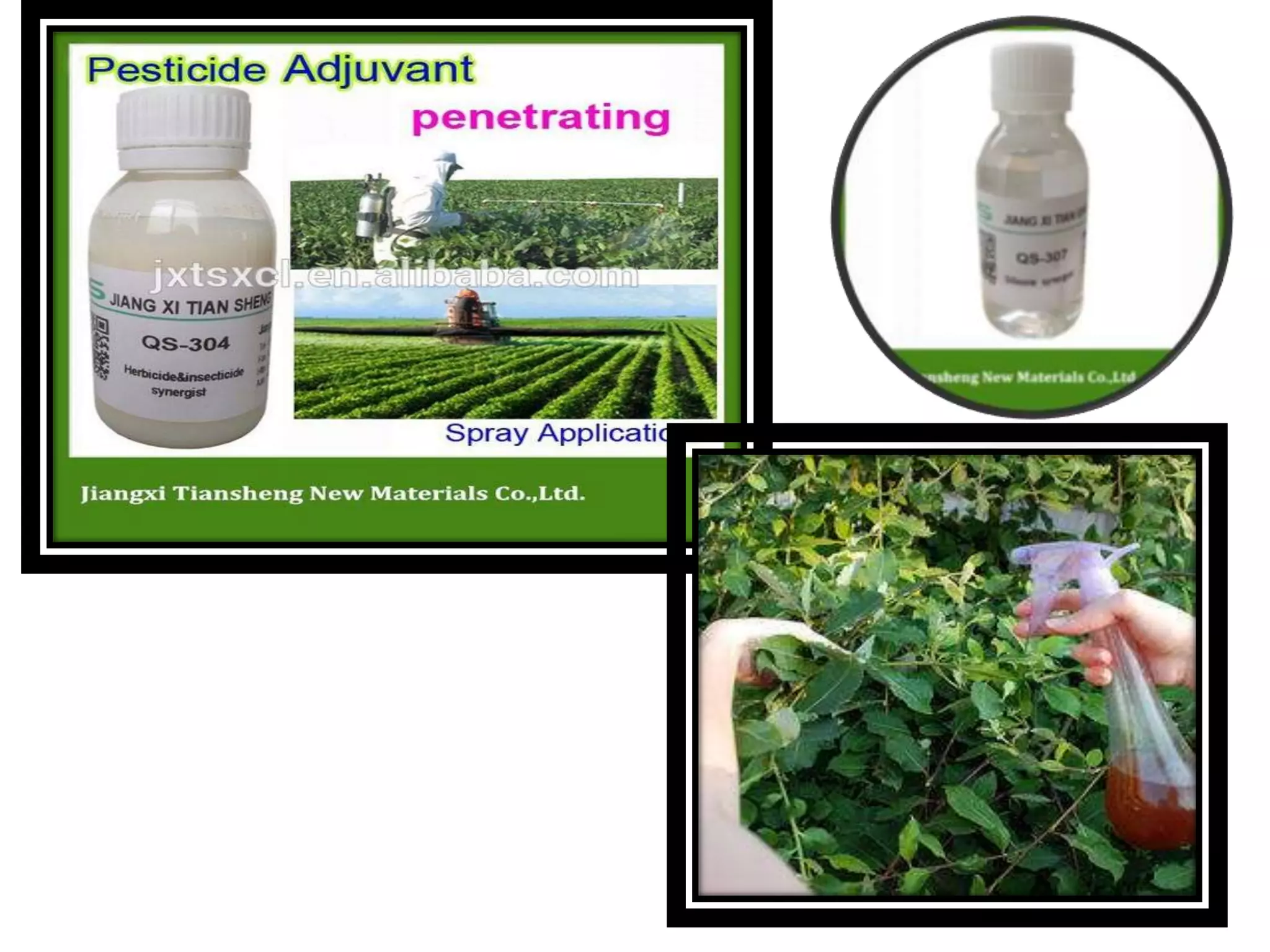 Adjuvants | PPTX