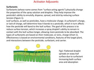 Adjuvants.pptx
