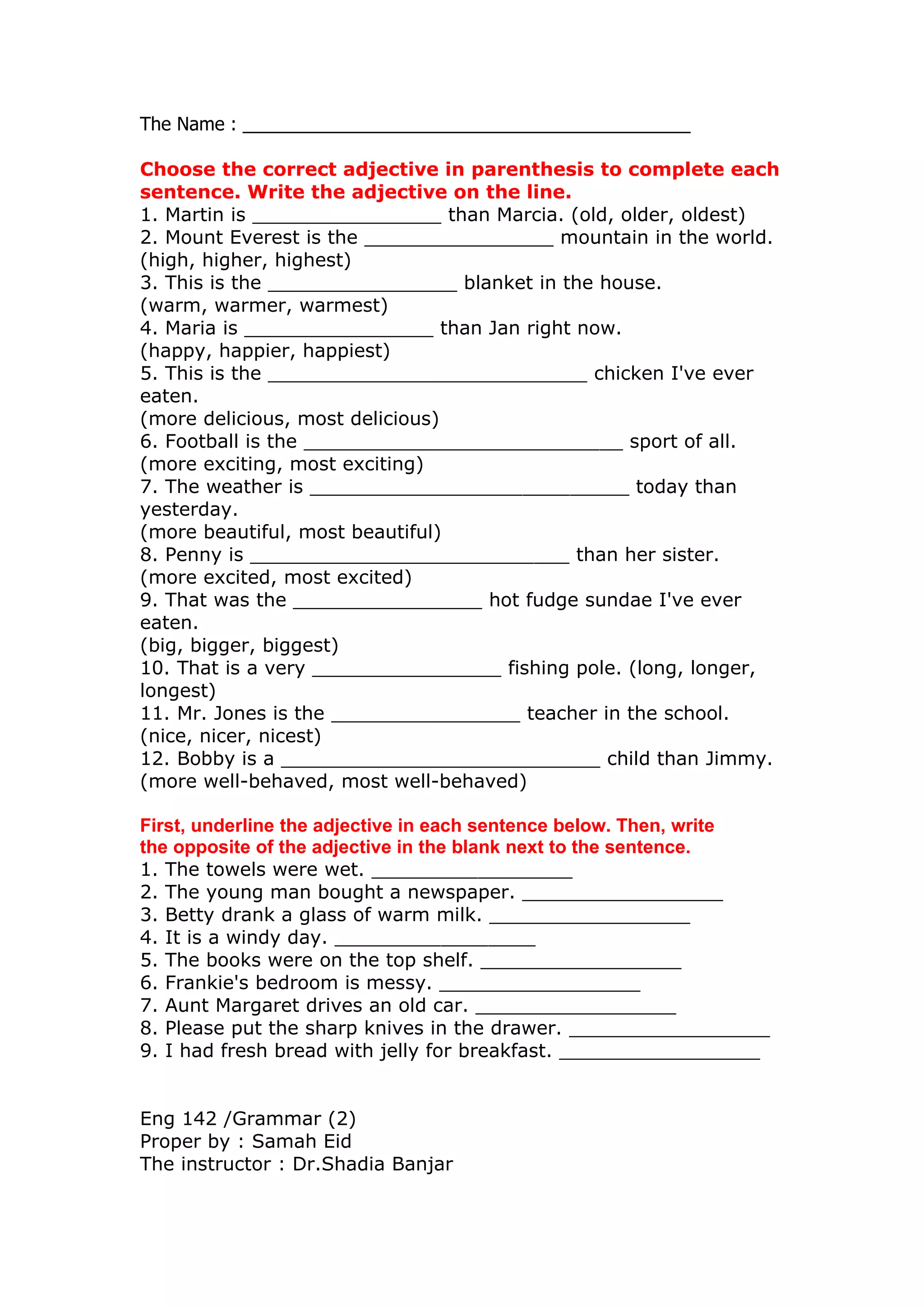 Adj worksheet | DOC