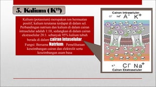 Mineral yang terdapat dalam tubuh | PPT