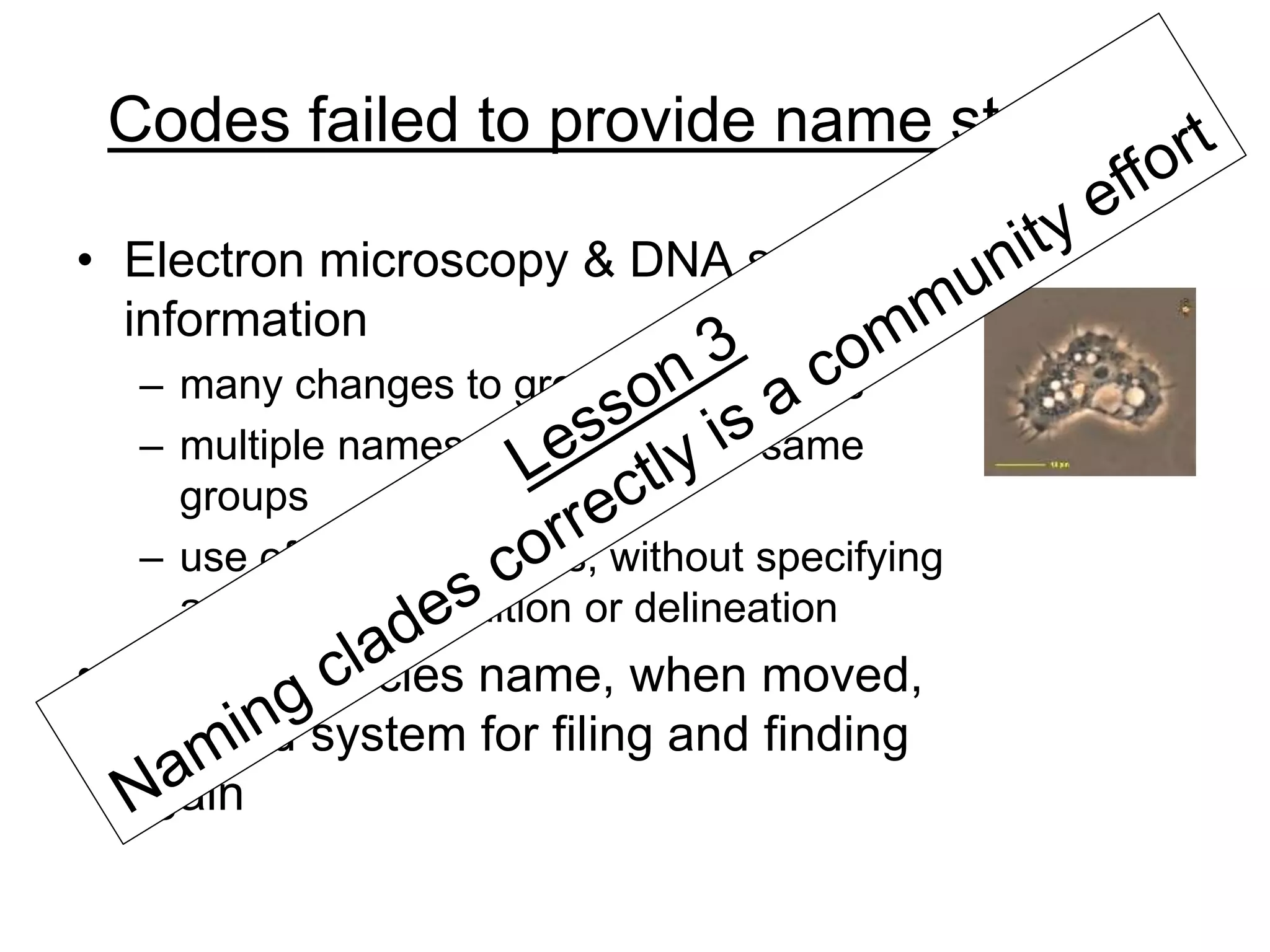 The New Classification Of Eukaryotes Pptx 4909