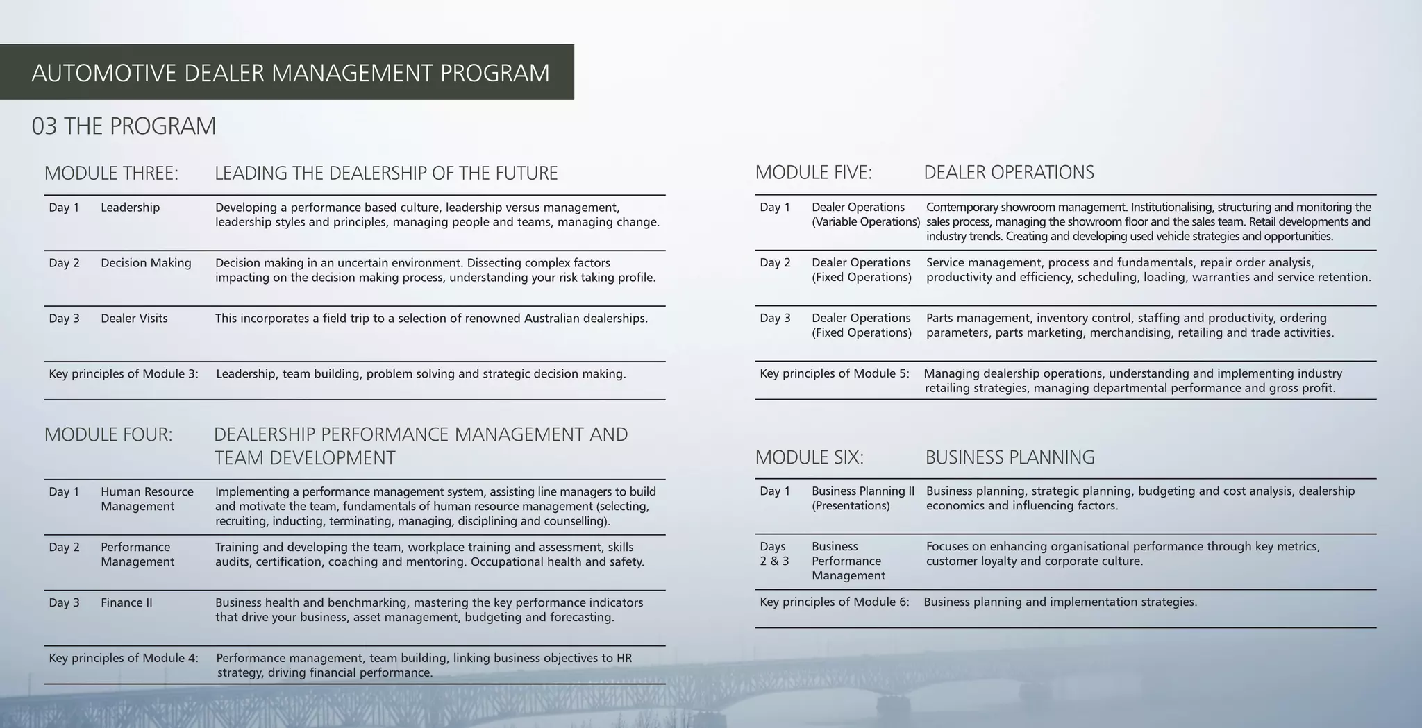 Automotive Dealer Management Program | PDF