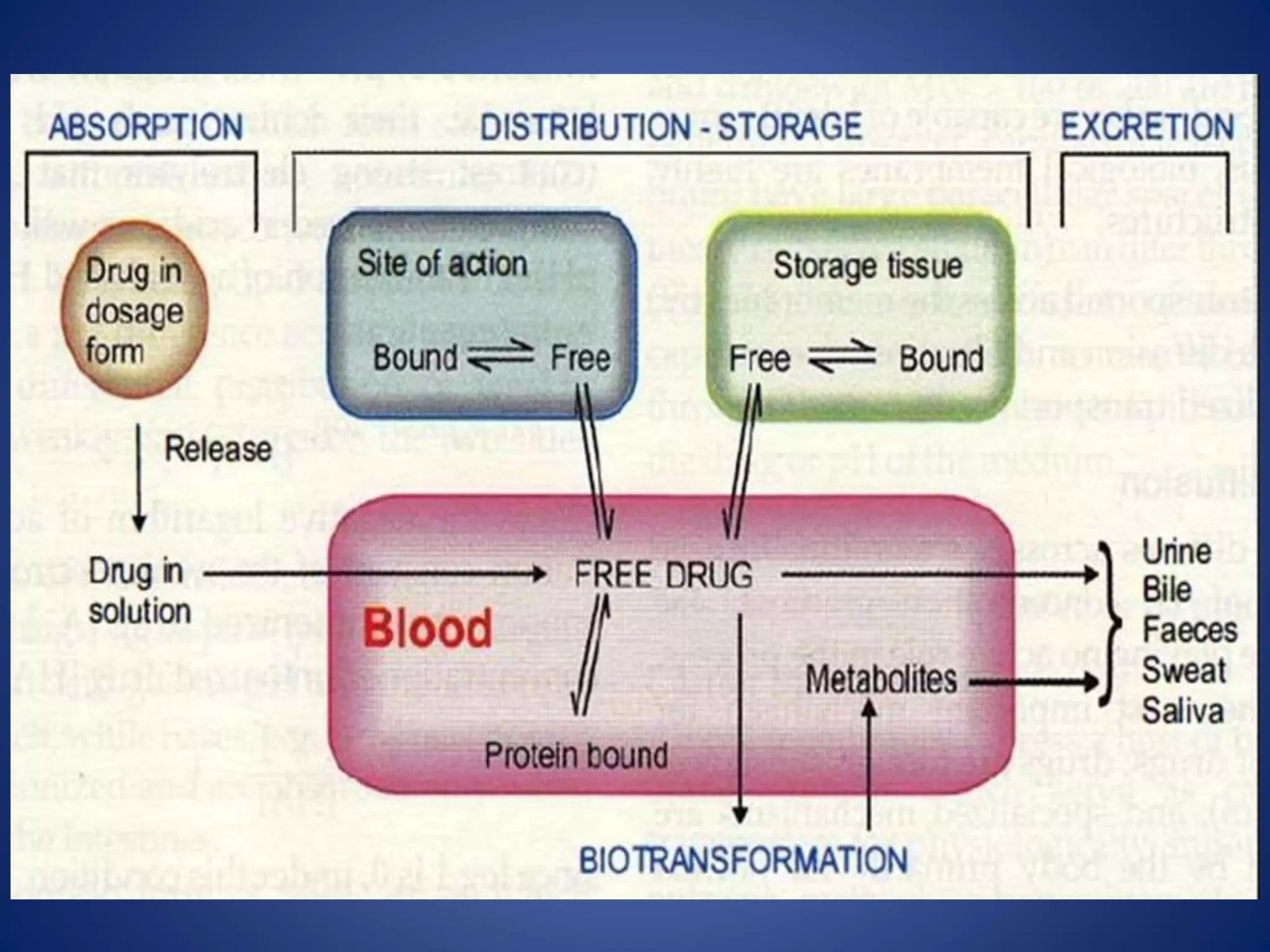 Pharmacokinetics - ADME | PPTX