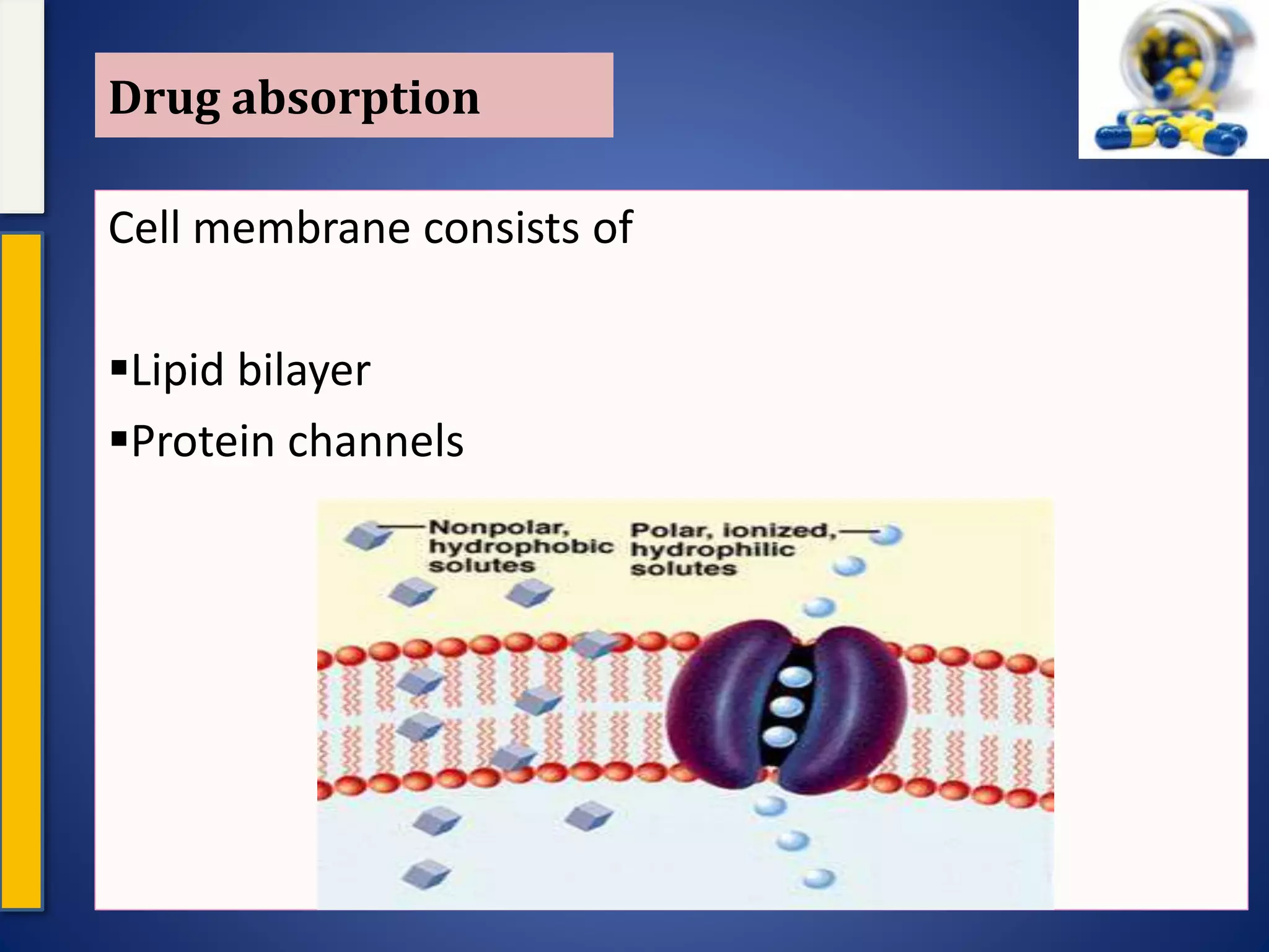 Pharmacokinetics - ADME | PPTX