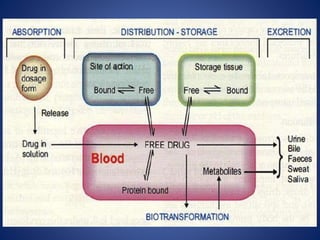 Pharmacokinetics - ADME | PPTX