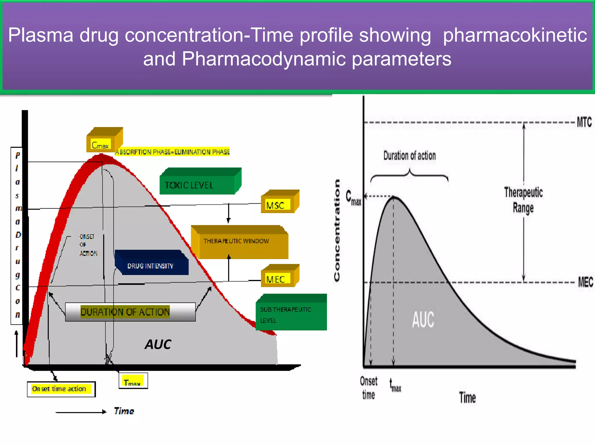 Basic Introduction of ADME. | PPTX | Chemistry | Science