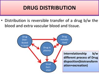 Basic Introduction of ADME. | PPTX | Chemistry | Science