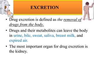 Basic Introduction of ADME. | PPTX | Chemistry | Science