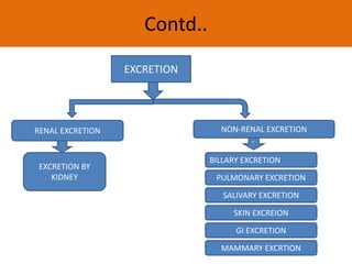 Basic Introduction of ADME. | PPTX | Chemistry | Science