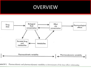Basic Introduction of ADME. | PPTX | Chemistry | Science