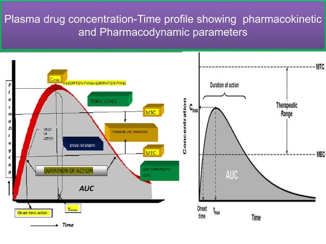 Basic Introduction of ADME. | PPTX | Chemistry | Science