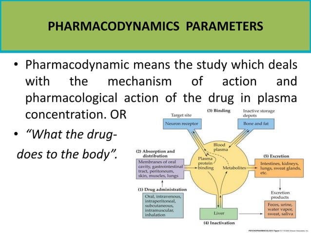 Basic Introduction of ADME. | PPTX | Chemistry | Science