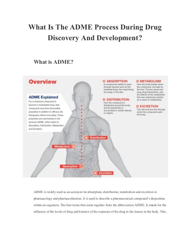 What Is The ADME Process During Drug Discovery And Development?