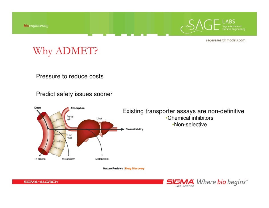 ADME Model Presentation, September 2011