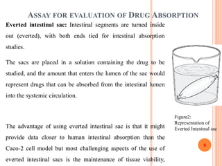 In vitro screening for evaluation of drugs ADMET properties | PPTX