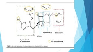 In Silico methods for ADMET prediction of new molecules | PPTX