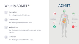 Admet_Presentation_PHARMOKINETICS_PRESENTATION | PPTX