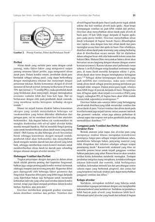 PERFUSI JARINGAN DAN STATUS VENTILASI | PDF