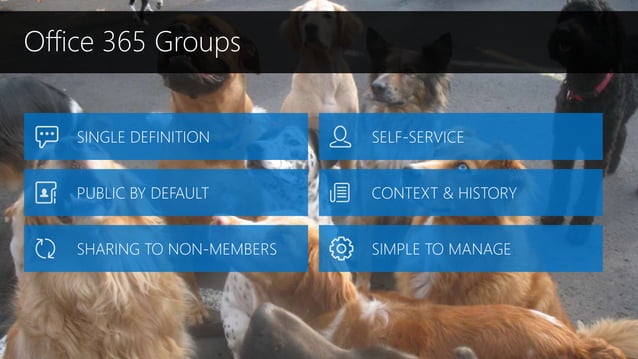 Administering and Managing Office 365 Groups - SharePoint Engage ...