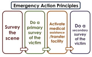 Administering First Aid treatment to avoid incidents | PPT