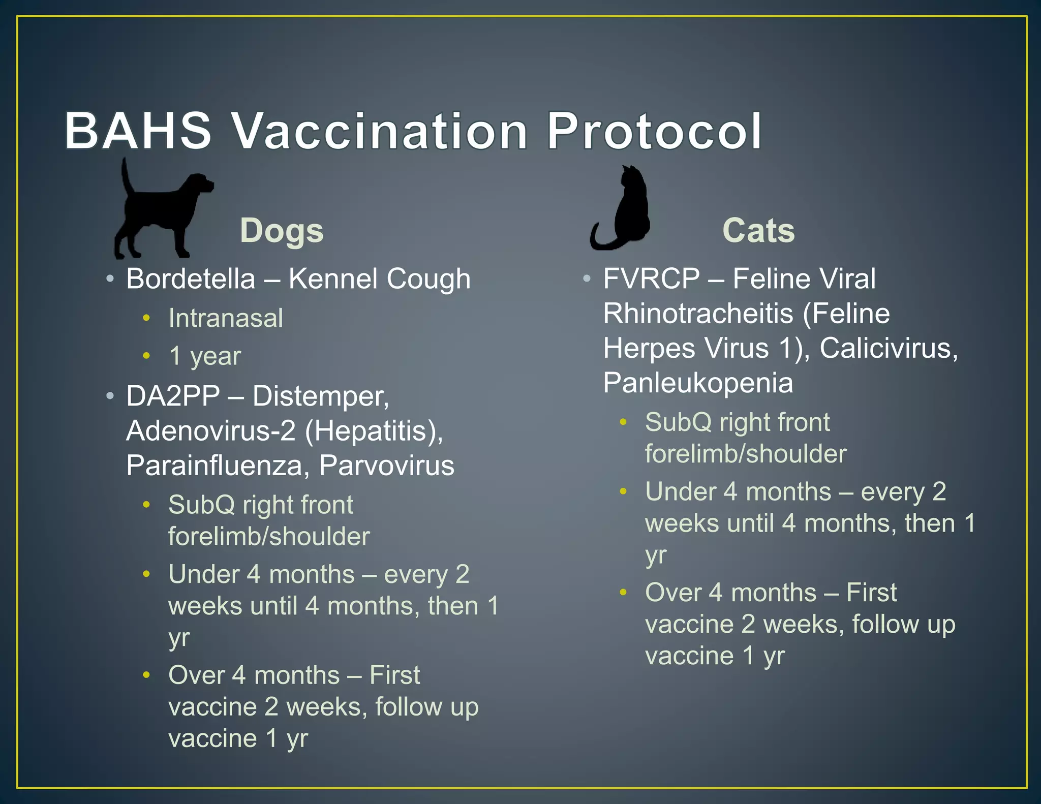 Administering Vaccinations and Subcutaneous Fluids | PPTX