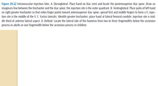 Administration of intramuscular injection.pptx | First Aid | Injuries