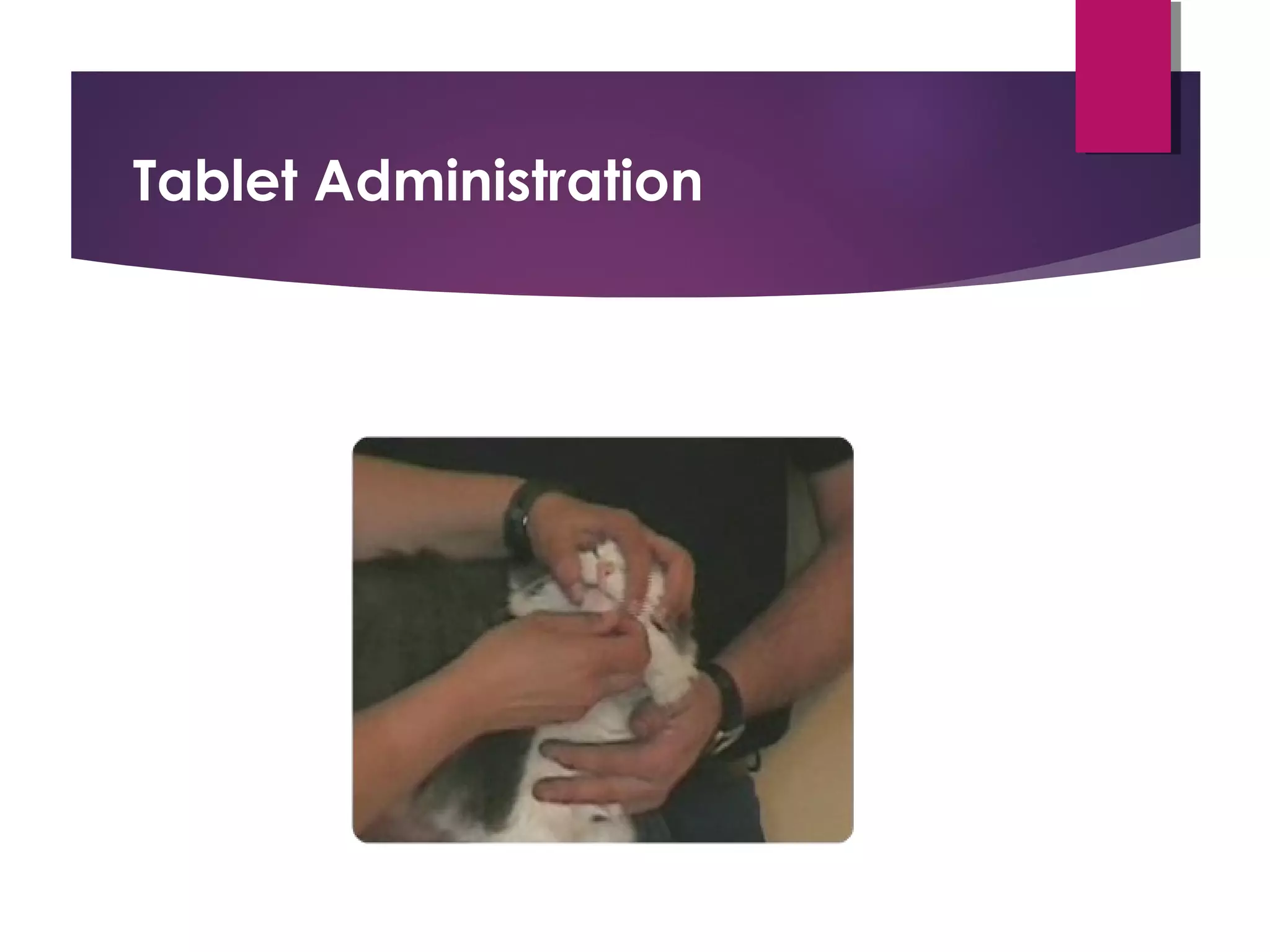 Administration of medicines in animals | PPT