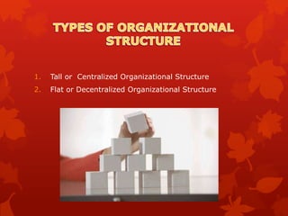 Organizational Structure | PPTX