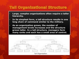 Organizational Structure | PPTX