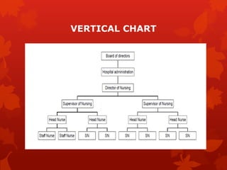 Organizational Structure | PPTX