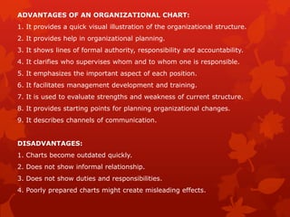 Organizational Structure | PPTX