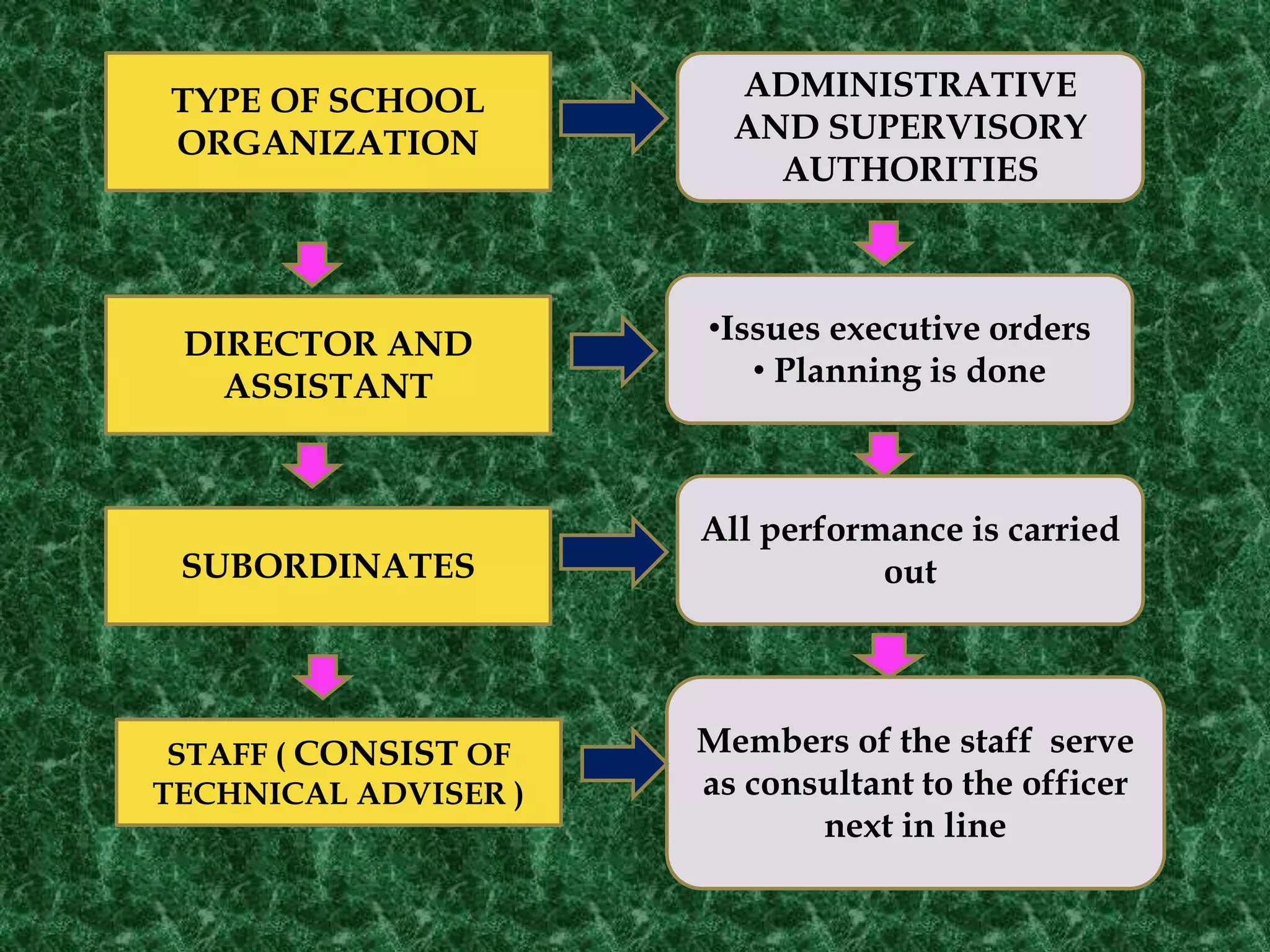 Administrative and supervisory organization of the bureau of | PPTX