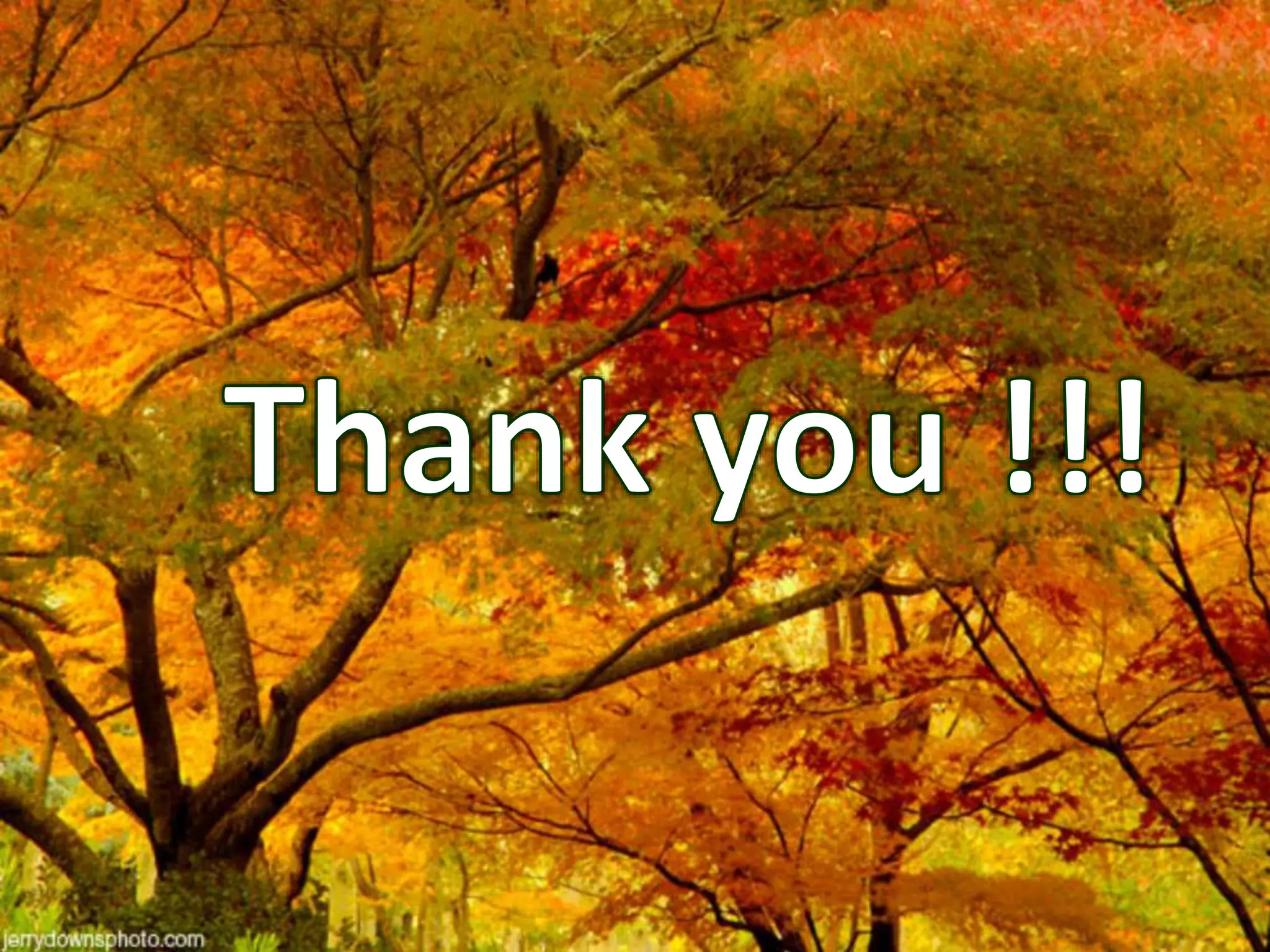 Samples of Decided Administrative Cases in the Philippines | PPTX