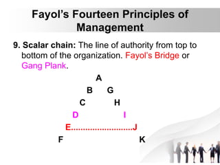 Administrative management (lec 4) | PDF