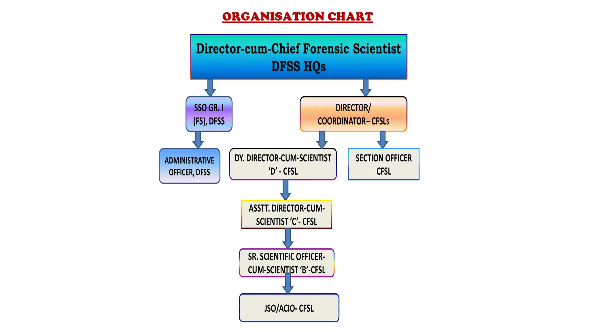 admin structure of Forensic science labs.pptx