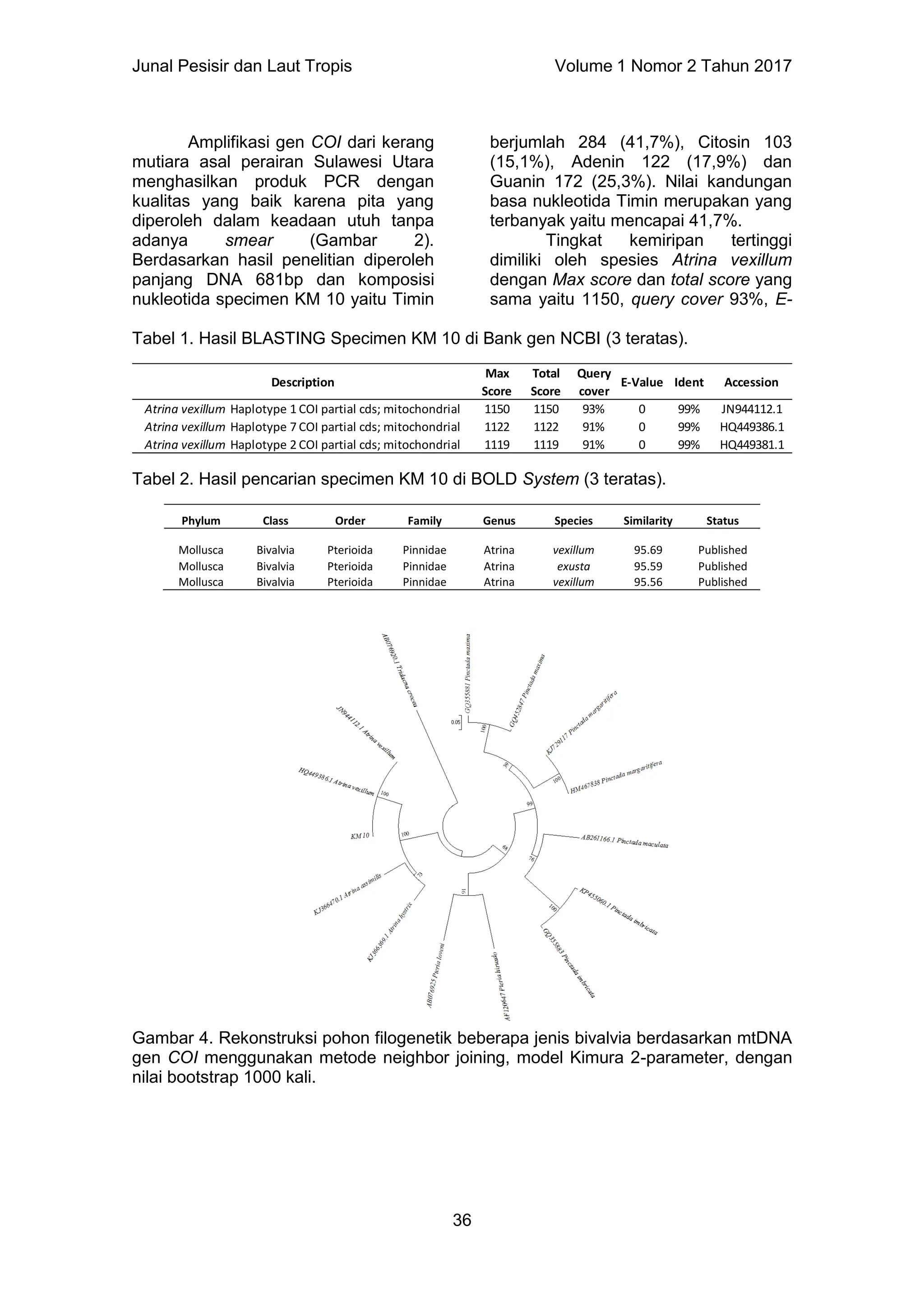 DNA BARCODE DAN ANALISIS FILOGENETIK MOLEKULER BEBERAPA JENIS BIVALVIA ...